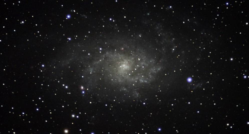 M33